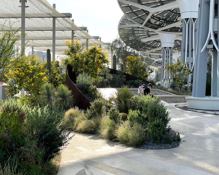 No.1 & Best Landscape Design Company in UAE - Desert Landscape Company