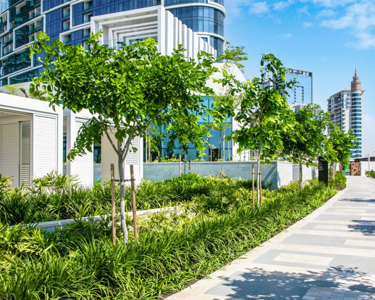 No.1 & Best Soft Landscape Company in Dubai - Desert Landscape Company